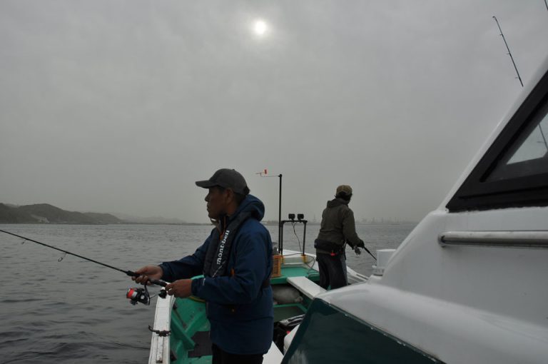 「紀北沖のシラスパターンの青物ゲーム」